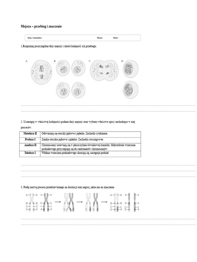 Mejoza Karty Pracy | PDF
