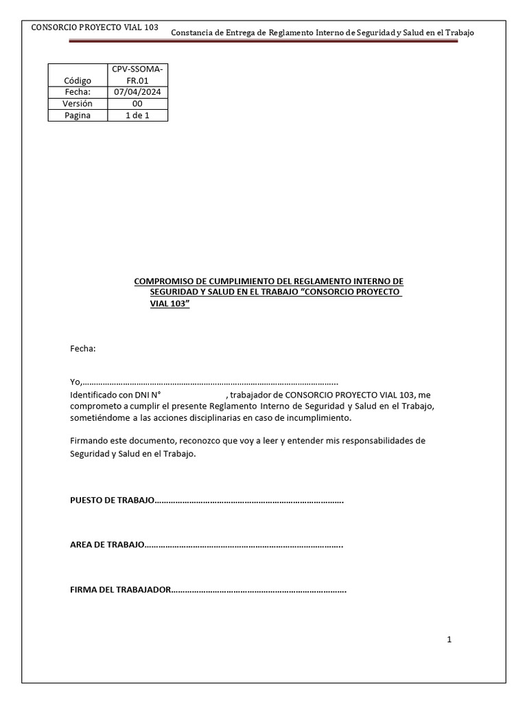 Cpv-Ssoma-Fr.01 Constancia de Entrega Del Risst | PDF