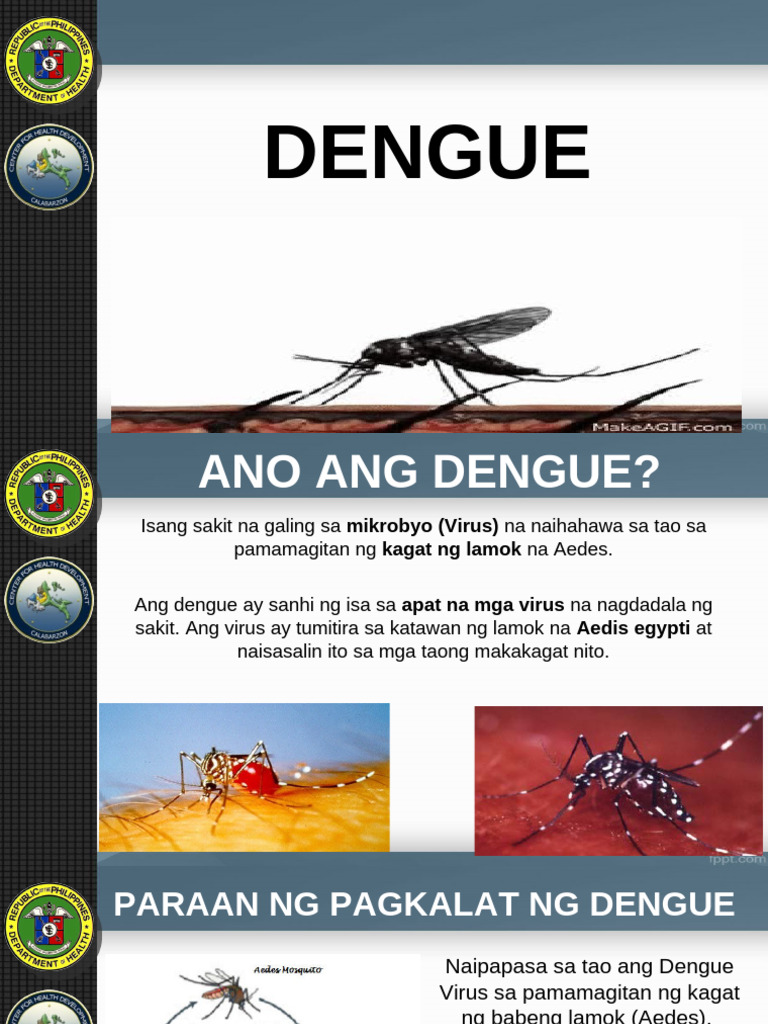 Dengue PPT 1 | PDF