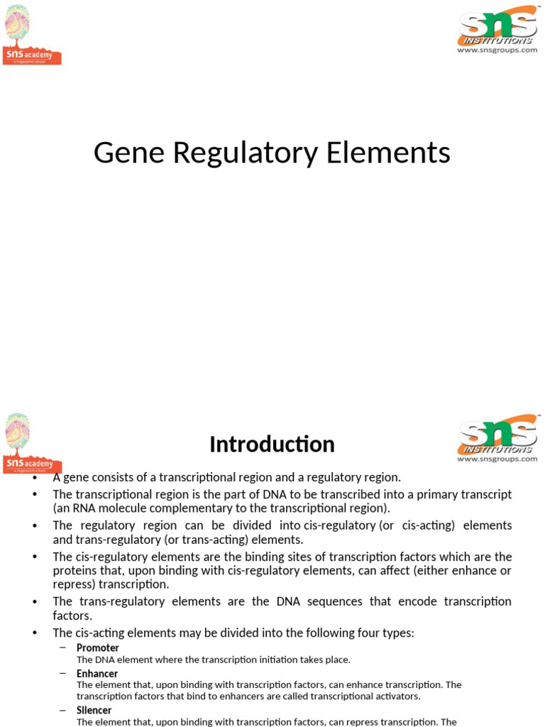 Understanding Gene Regulatory Elements | PDF | Promoter (Genetics) | Gene
