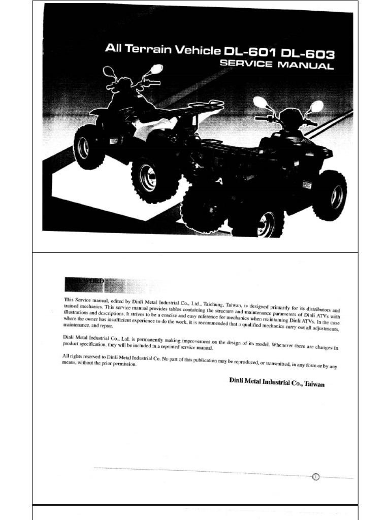 Dinli 50cc Manual | PDF