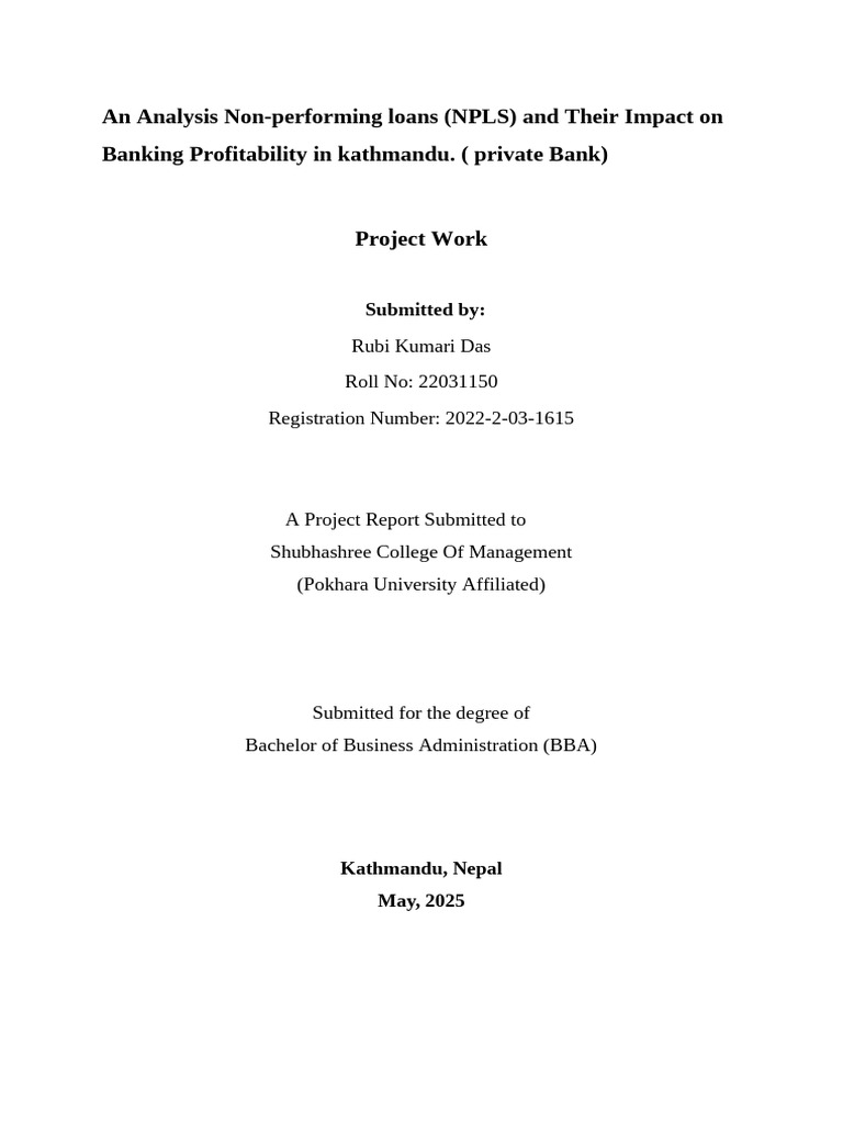 Rubi Project | PDF | Usability | Customer Satisfaction