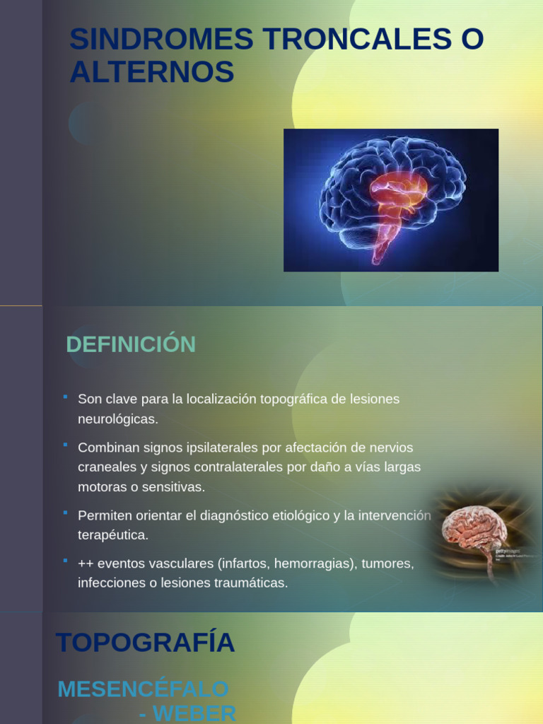 Síndromes Tronculares Neurológicos | PDF | Sistema nervioso ...