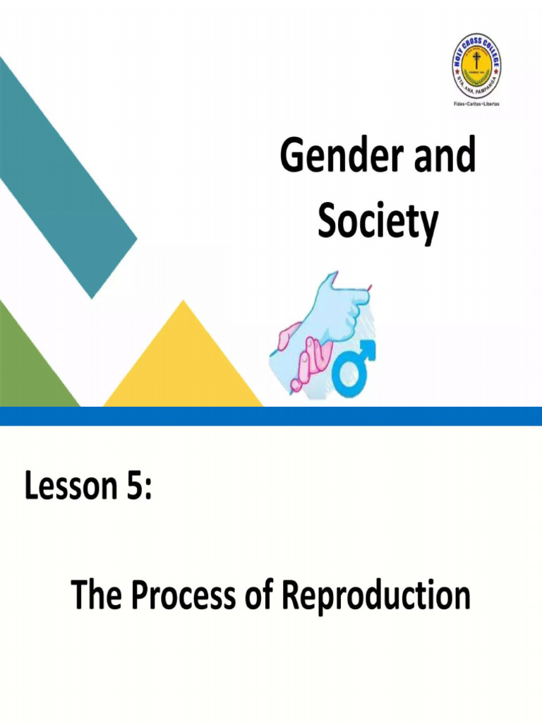 Lesson 5 | PDF