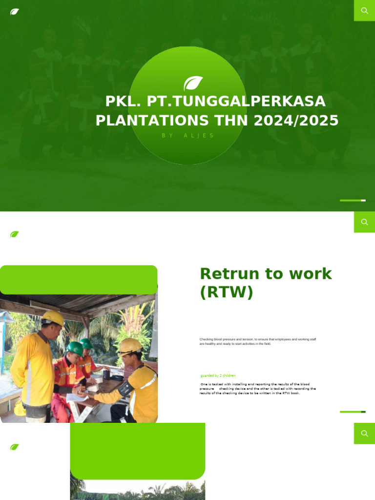 Pkl. Pt. Tunggal Perkasa Plantations | PDF | Fertilizer | Botany