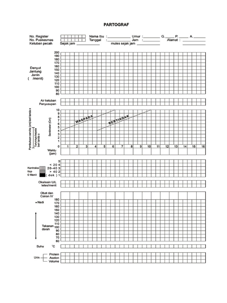 Partograf Dikonversi | PDF