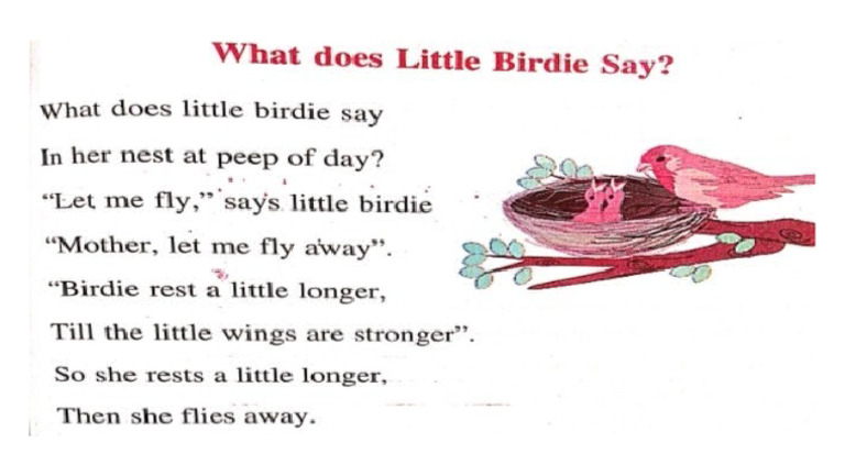 What Does Little Birdy Say | PDF