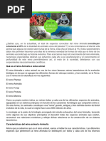 Texto informativo sobre animales | PDF