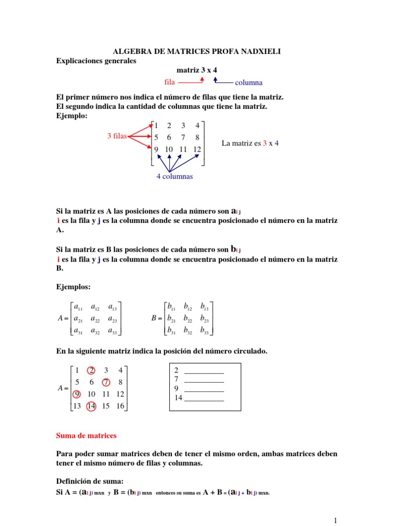 ALGEBRA de MATRICES Ejercicios de Clase | PDF | Matriz (Matemáticas) | Multiplicación
