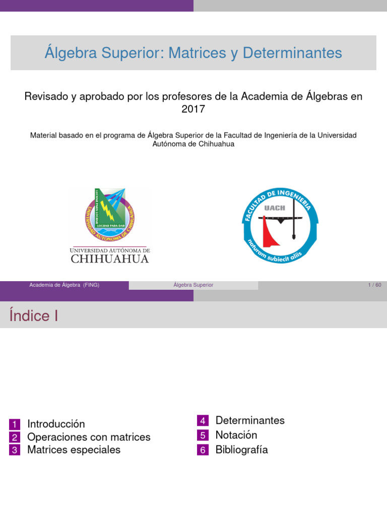 Álgebra Superior: Matrices y Determinantes | PDF | Matriz (Matemáticas ...