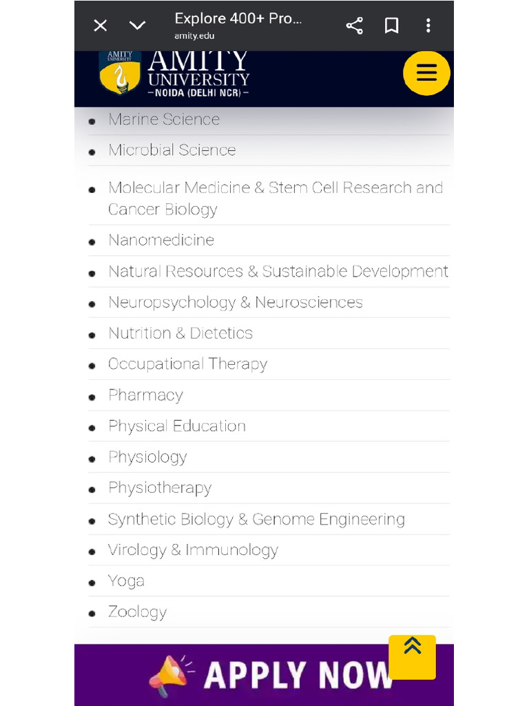 Job Descriptions | PDF