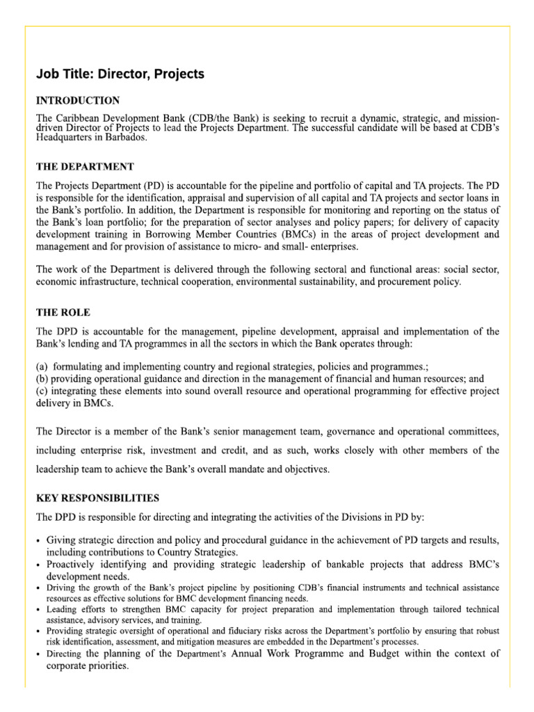 TOR Director Projects MAY2025 | PDF