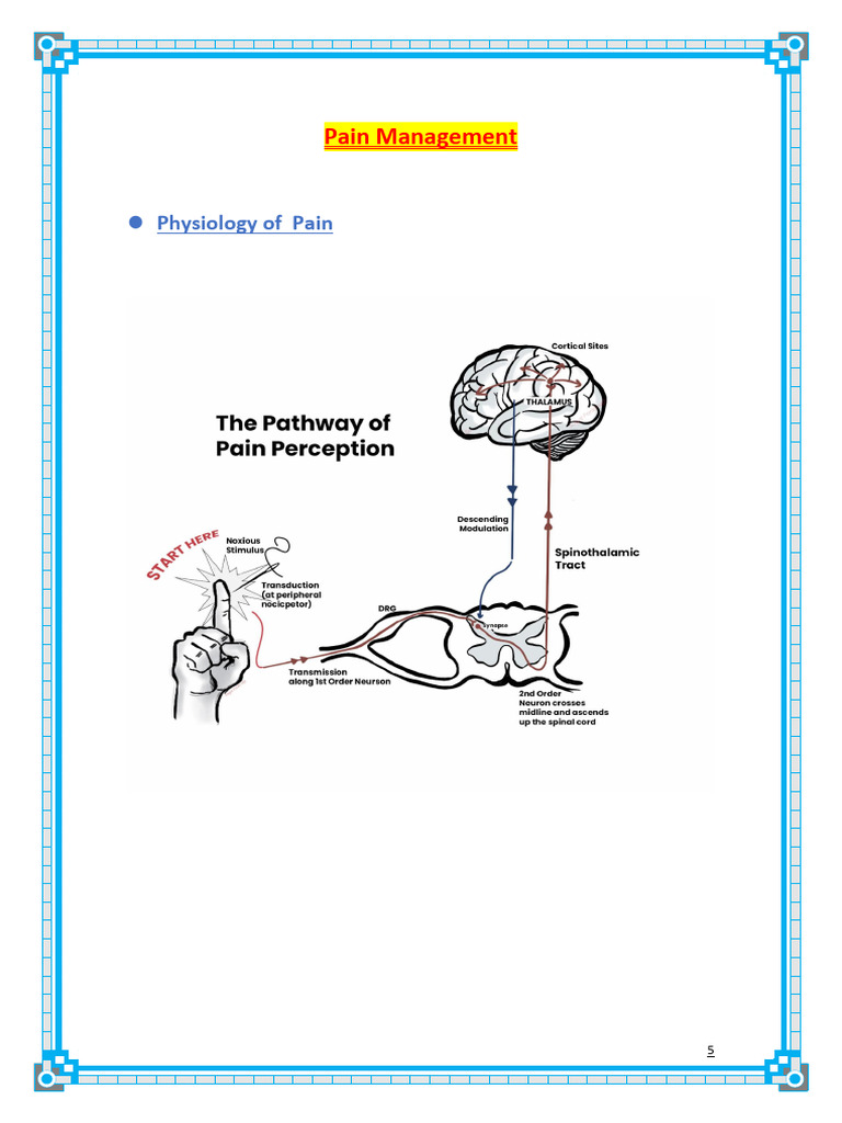 3 Pain Management | PDF
