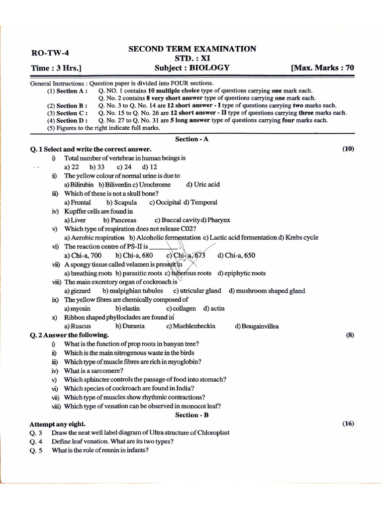 Default Folder - 20250328 | PDF