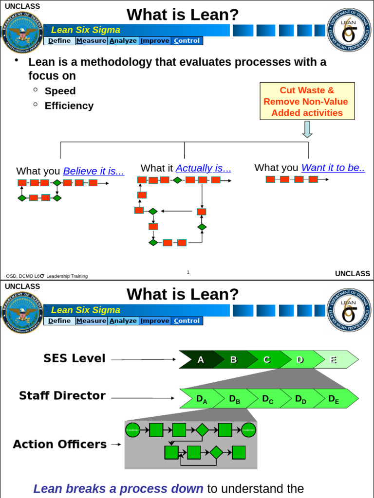Lss 1 | PDF | Six Sigma