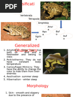 Frog Urinogenital System Overview | PDF | Kidney | Anatomy
