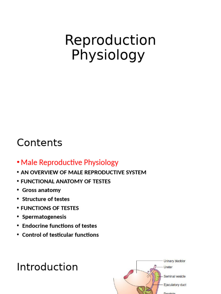 Reproduction Physiology | PDF