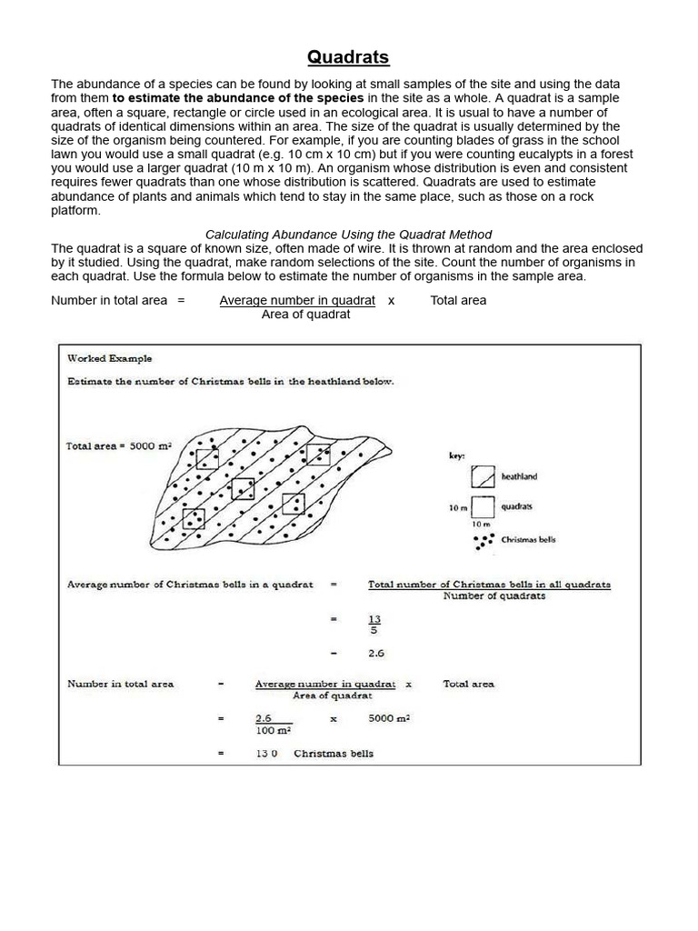Quadrat Sampling Method Explained | PDF | Area | Sampling (Statistics)