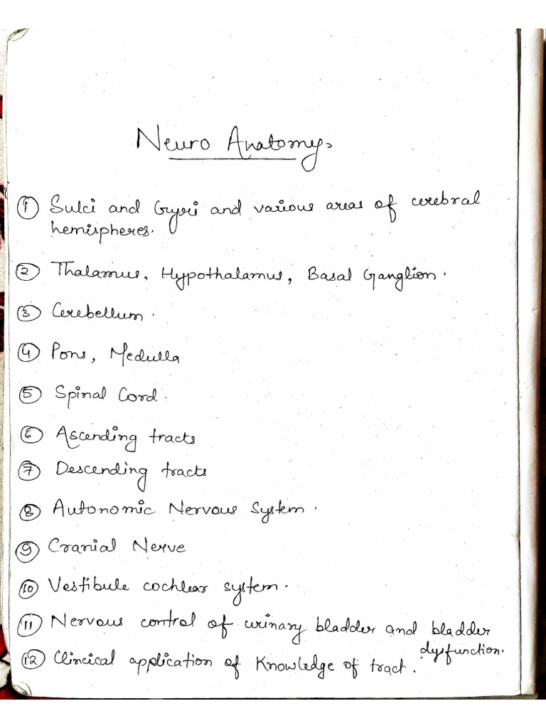 Neuro Anatomy Topics | PDF