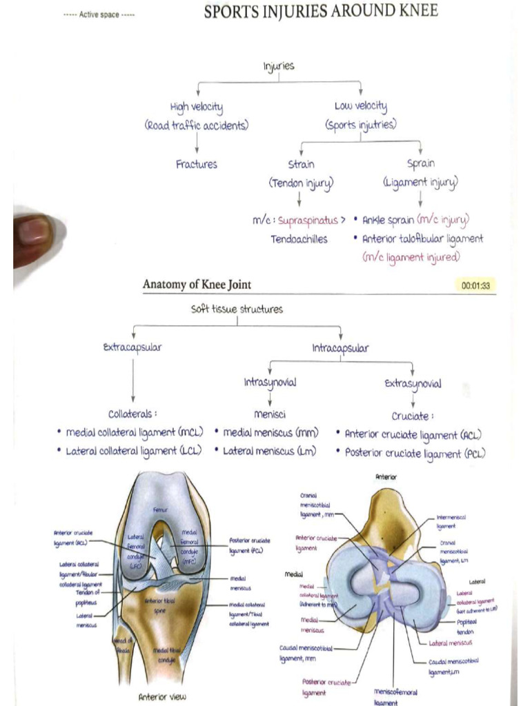 Ortho @marrow Ed8 Notes 2024 Export (2) Cropped | PDF