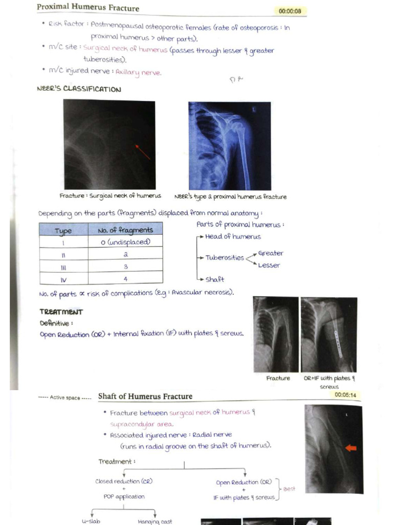 Ortho @marrow Ed8 Notes 2024 Export Cropped | PDF