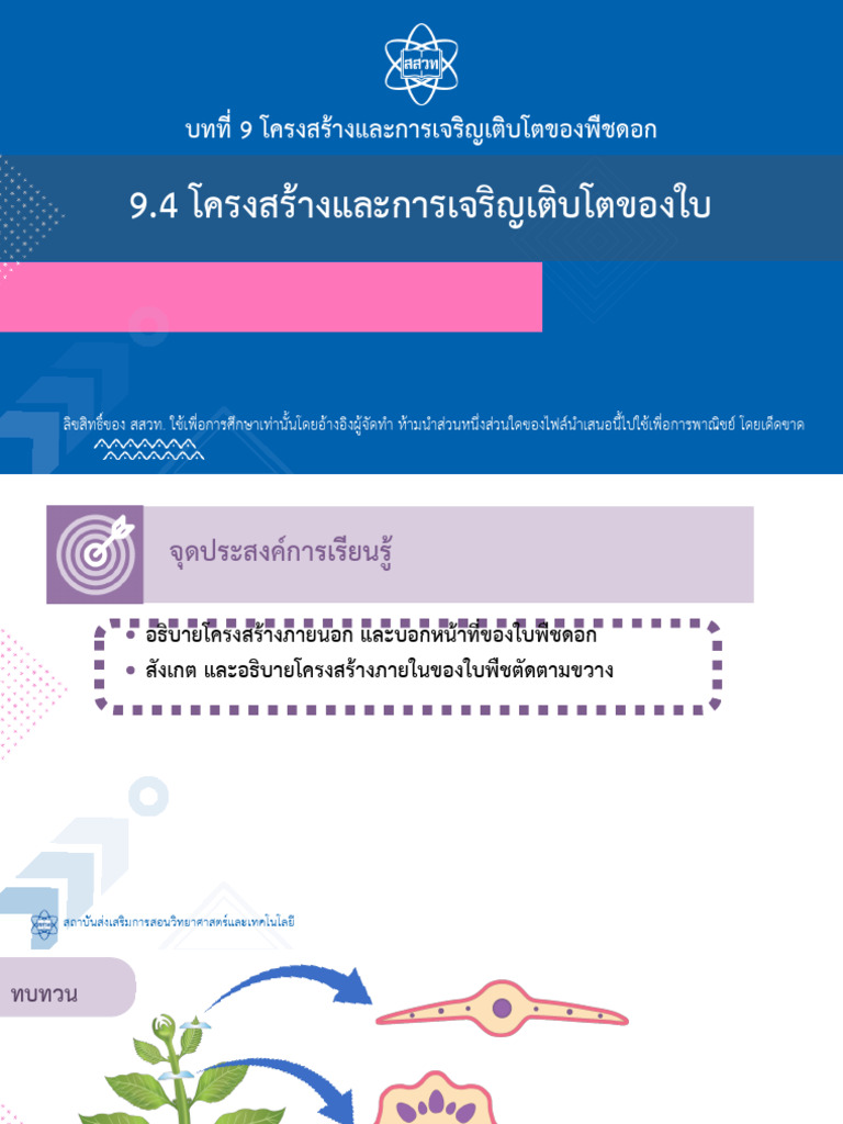m5b3 - 09 - 4leaf - 012 - PPT - PDF 2 | PDF