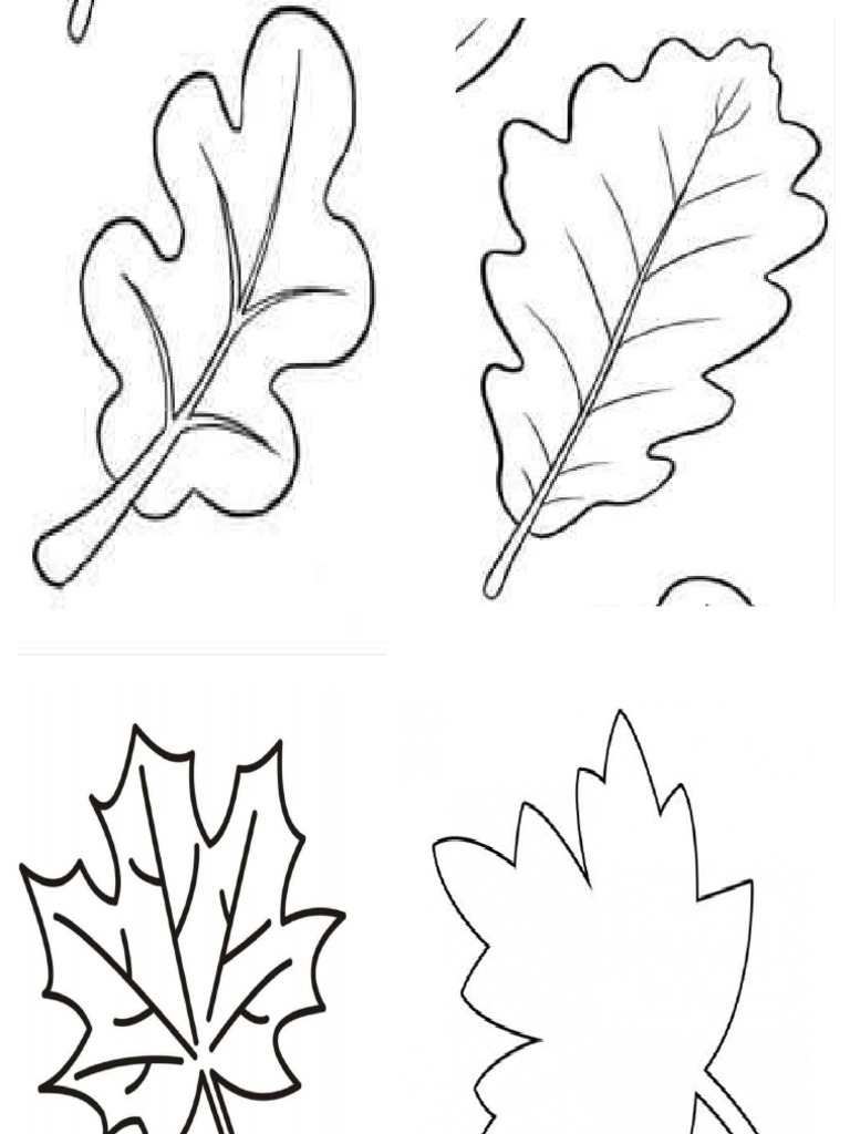 Hojas de Maple | PDF