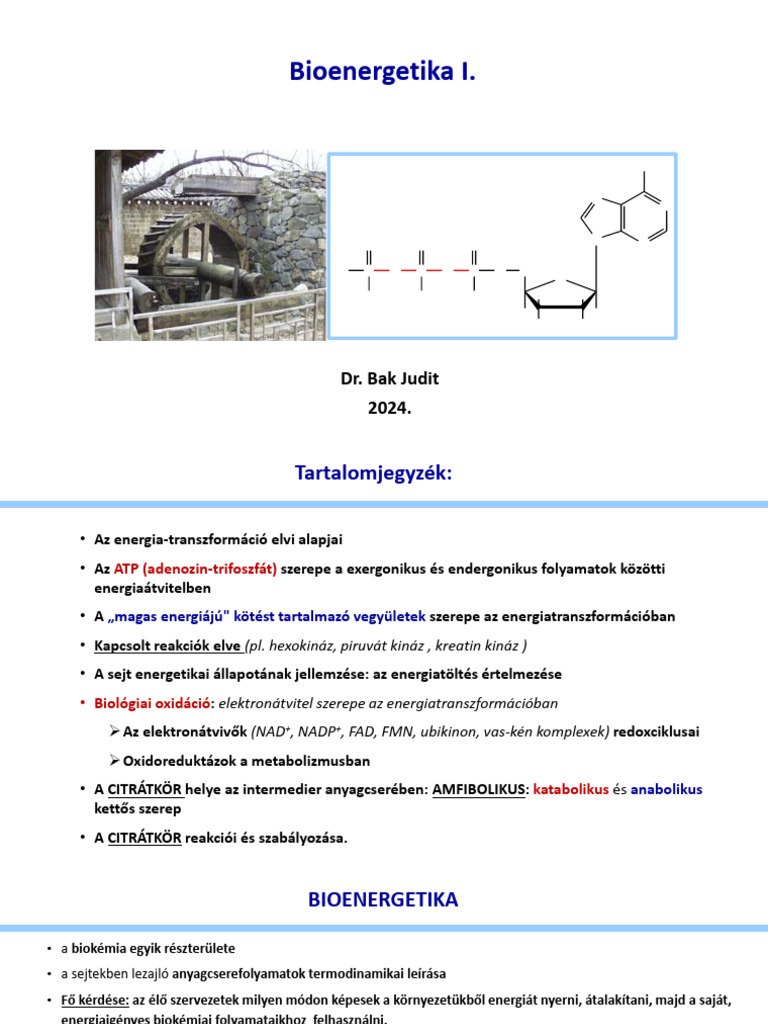 Bioenergetika I. BakJ | PDF