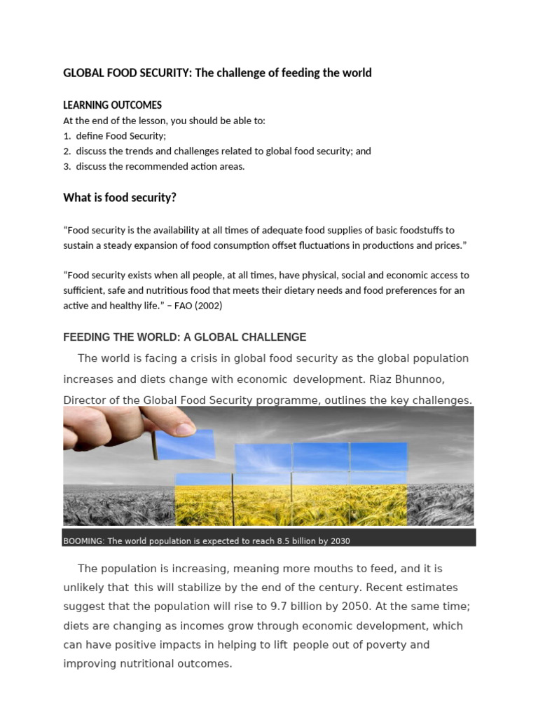 Global Food Security Challenges Ahead | PDF | Food Security | Agriculture