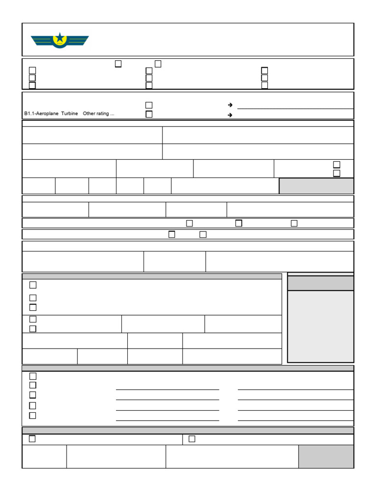 CAAV Form 542 Application Guide | PDF | Aviation