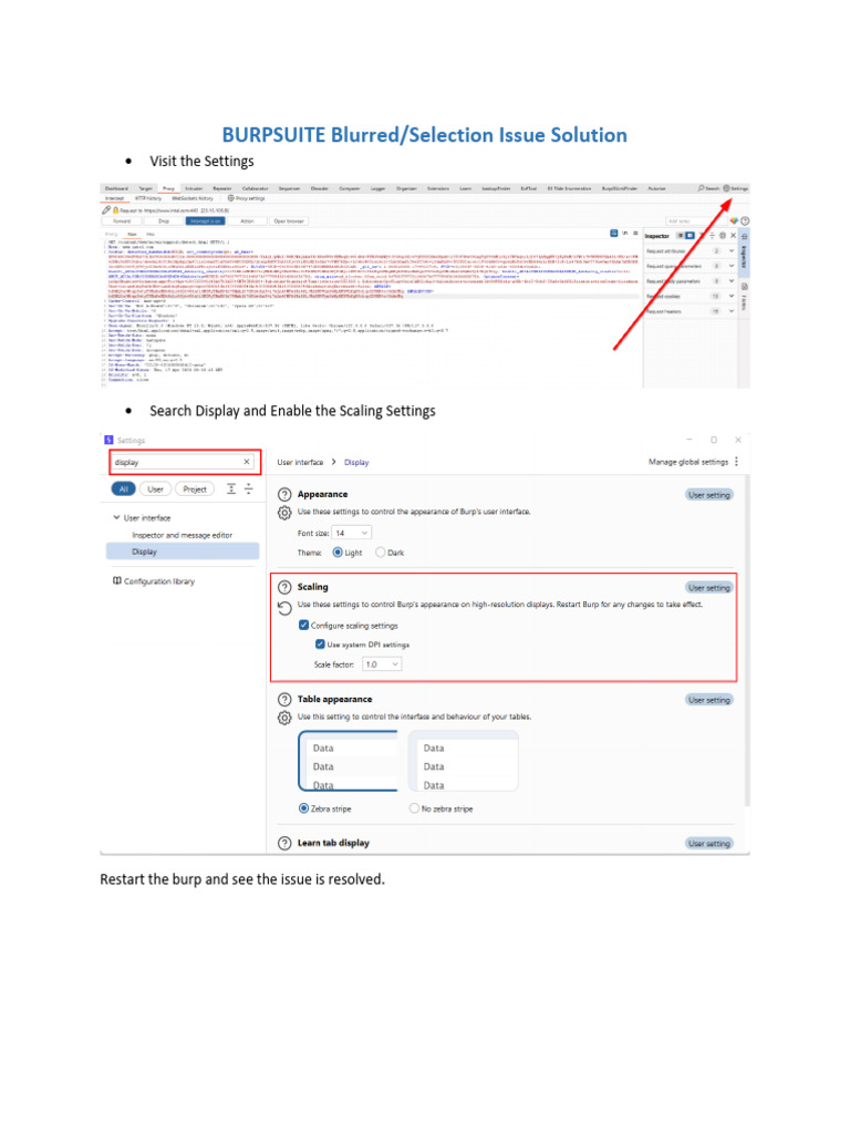 BURPSUITE Blurred Issue | PDF