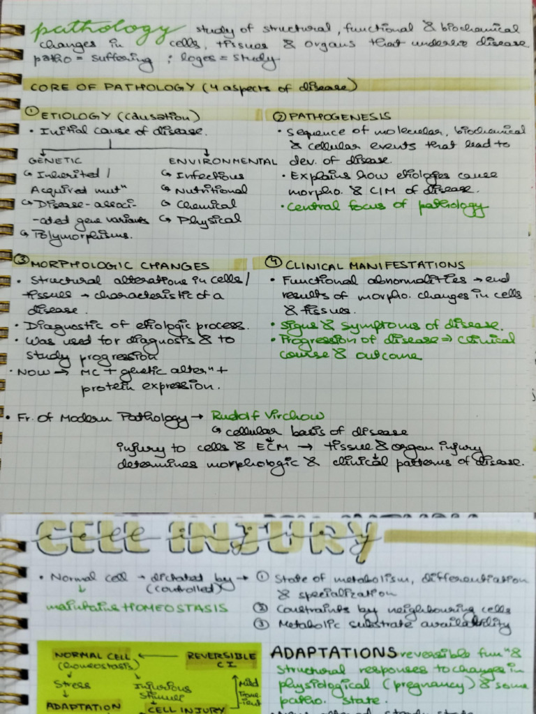 Cell Injury Tata | PDF