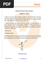 Class 9 Tissues Diagrams Booklet | PDF