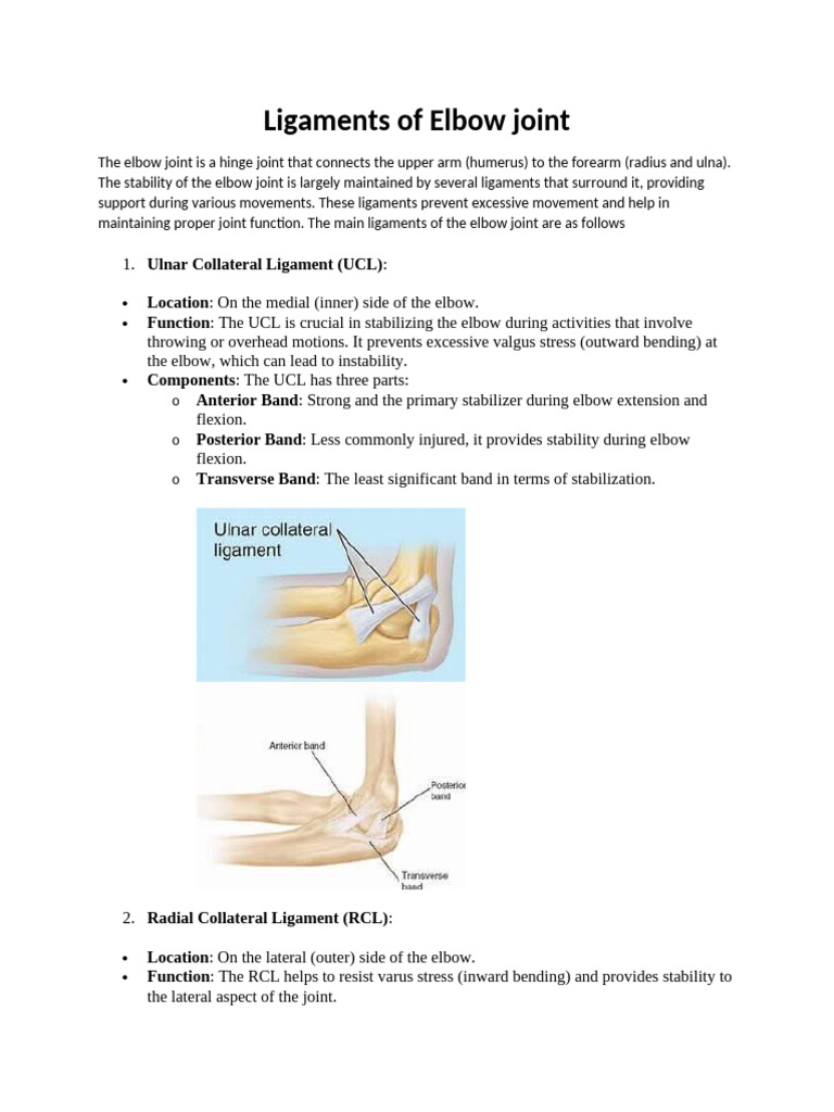 Ligaments of Elbow Joint | PDF | Elbow | Anatomical Terms Of Motion