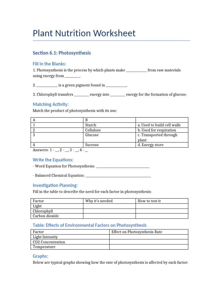 Plant Nutrition Worksheet | PDF | Photosynthesis | Leaf
