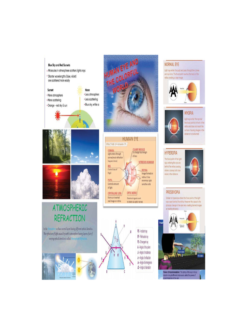 Grade 10 Human Eye Lesson Plan | PDF | Sunset | Eye