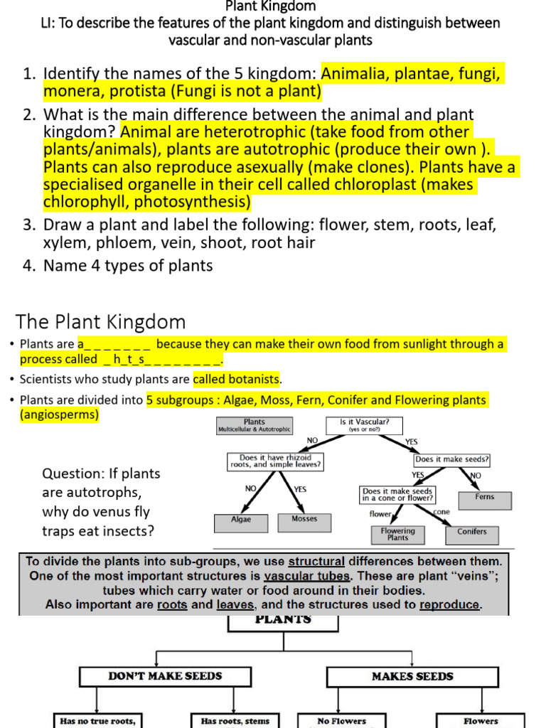 Plant Kingdom | PDF