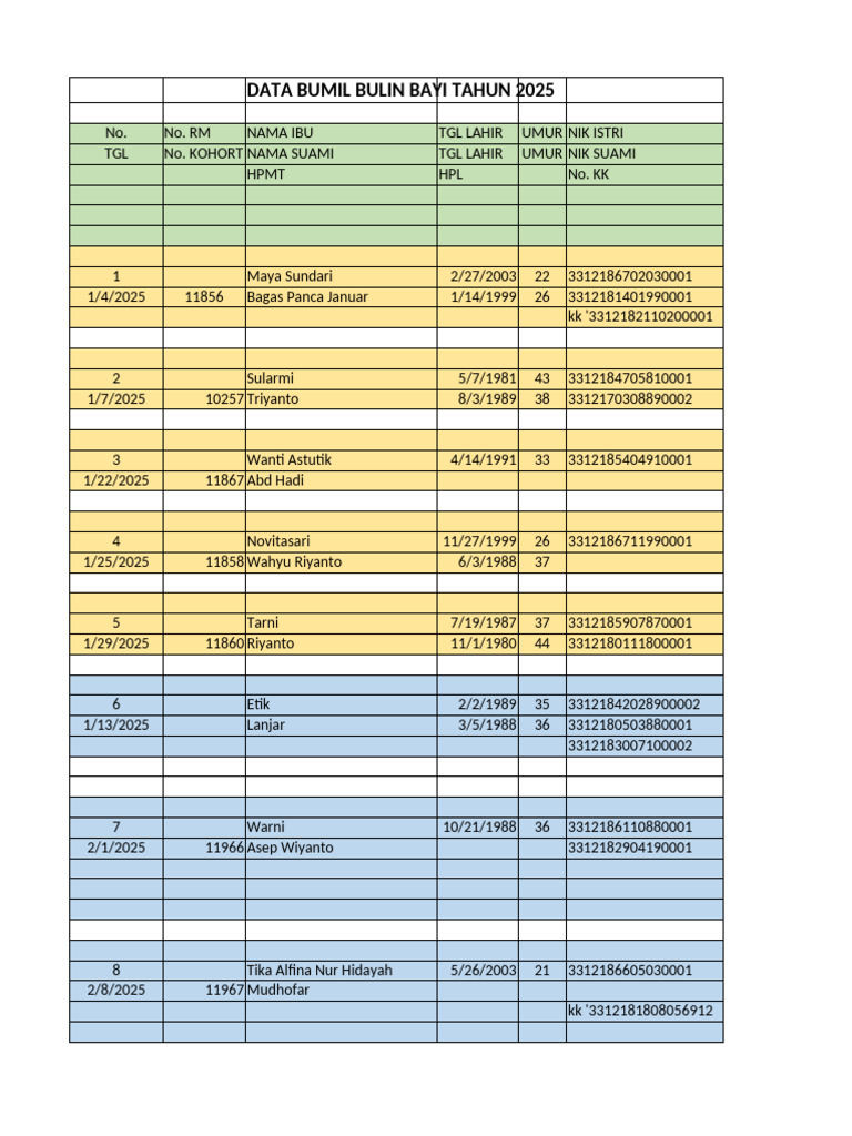Buku Hamil Bersalin Bayi Laporan Kia Eppgbm Geneng | PDF