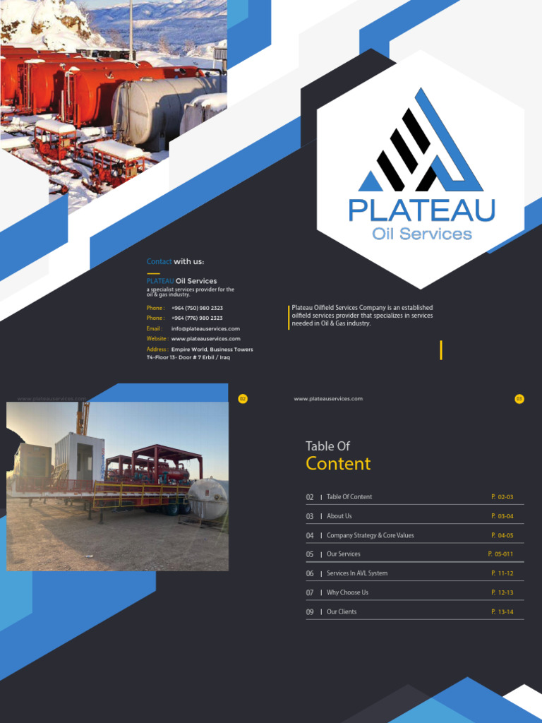 Plateau Oil Services Overview | PDF | Petroleum Reservoir | Pump