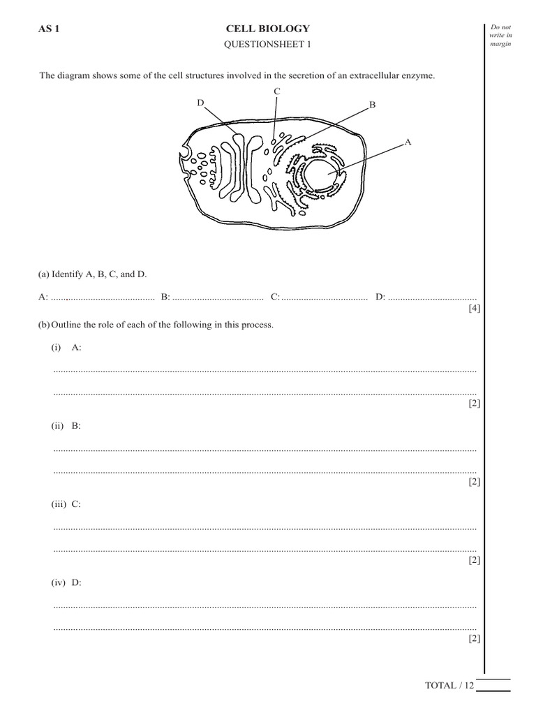 Cell Biology Question Sheets Overview | PDF | Cell Membrane | Cell ...
