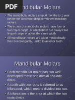 Maxillary Molar Anatomy Overview | PDF | Dental Anatomy | Dentistry ...