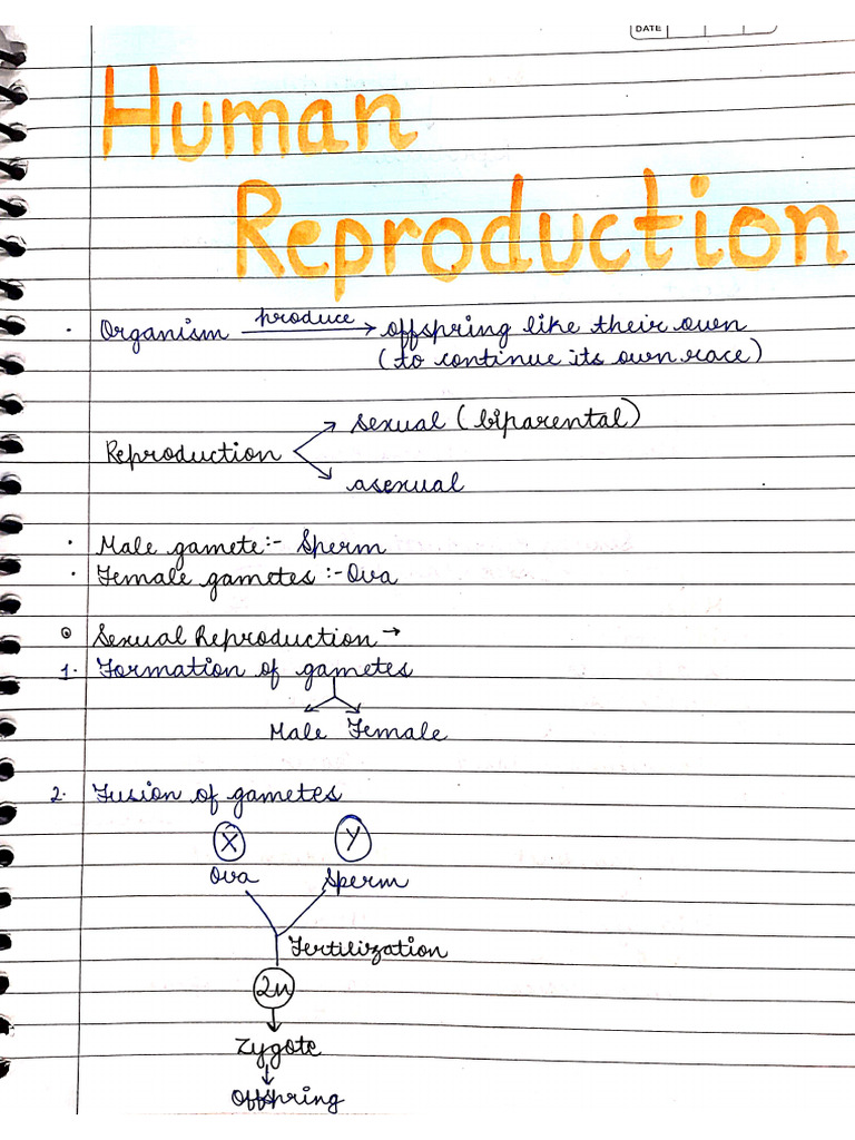 Zoology Notes | PDF
