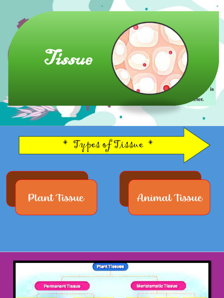 'Science Tissue' With You | PDF