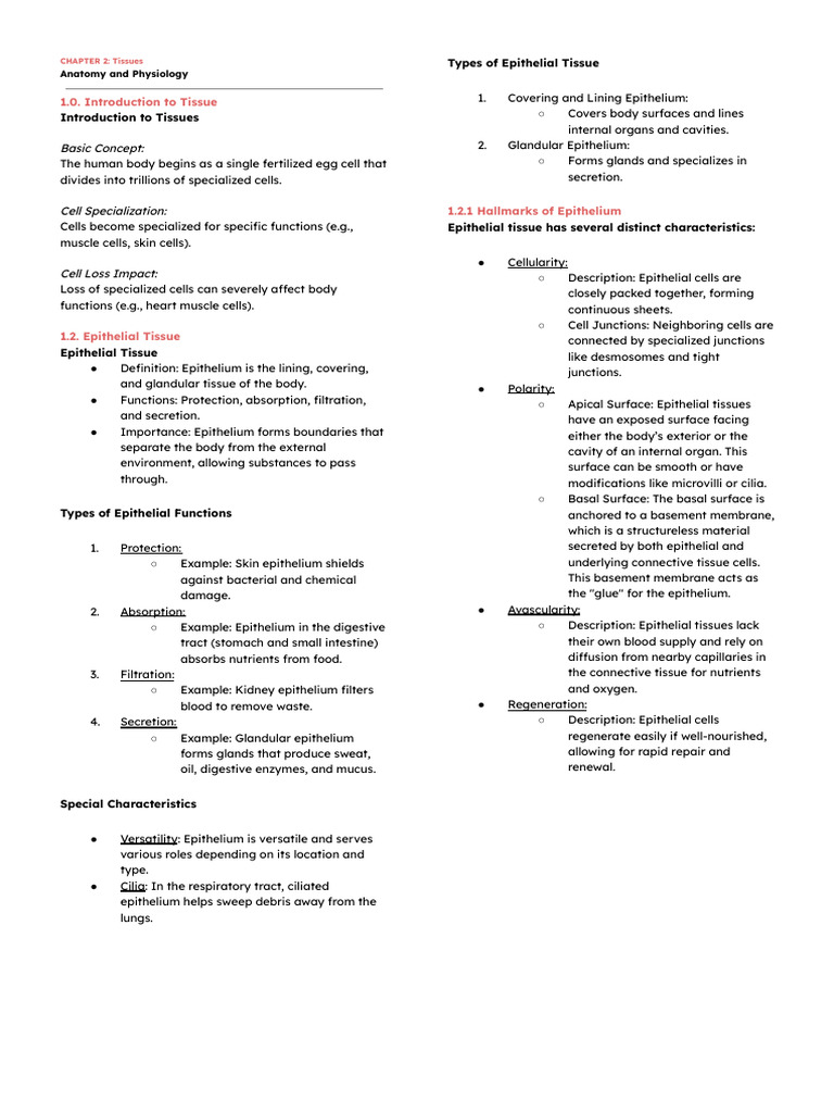 ANAPHY Chapter 2 - Tissues | PDF | Epithelium | Connective Tissue