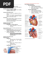 Anatomy and Function of the Heart | PDF | Heart Valve | Atrium (Heart)