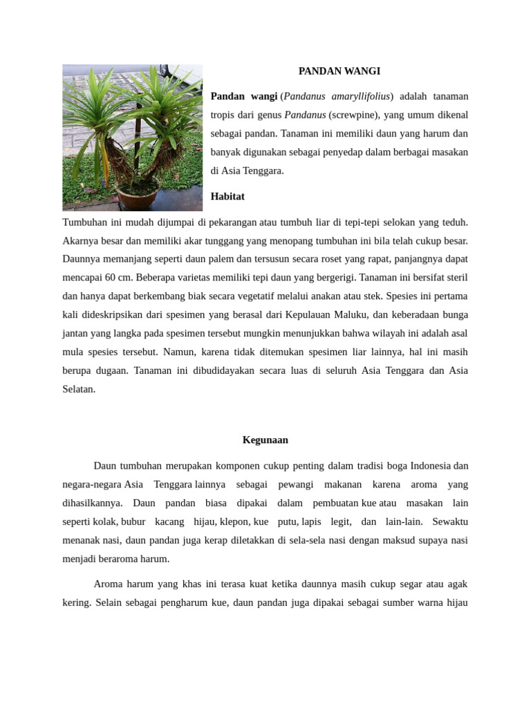 Daun Pandan | PDF