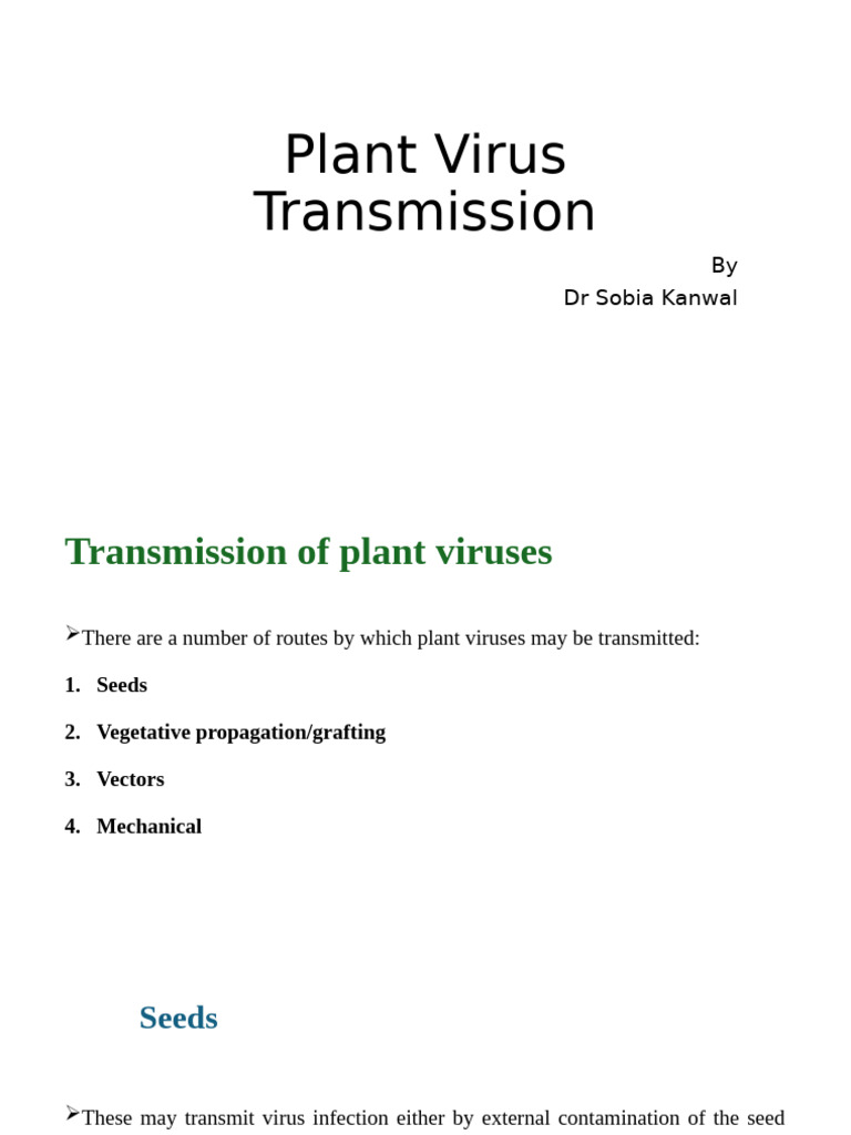 Plant Virus Transmission | PDF | Plant Virus | Virus