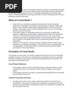 Coral Reef Food Web Dynamics | PDF | Coral Reef | Coral