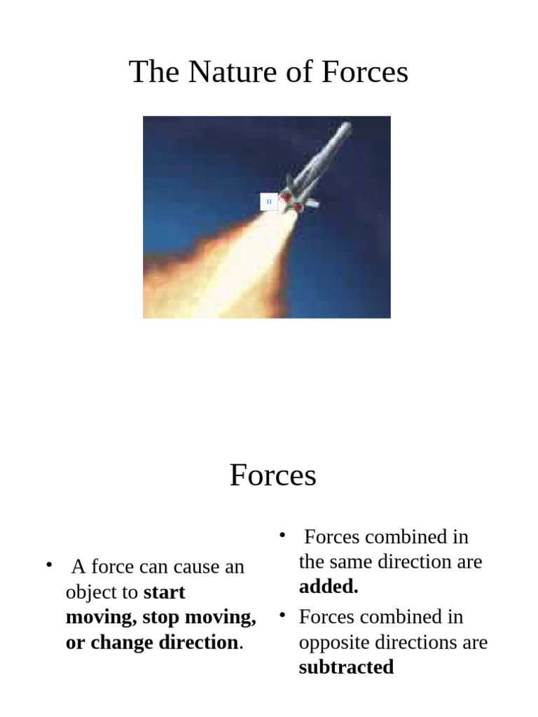 The Nature of Forces | PDF | Force | Weight