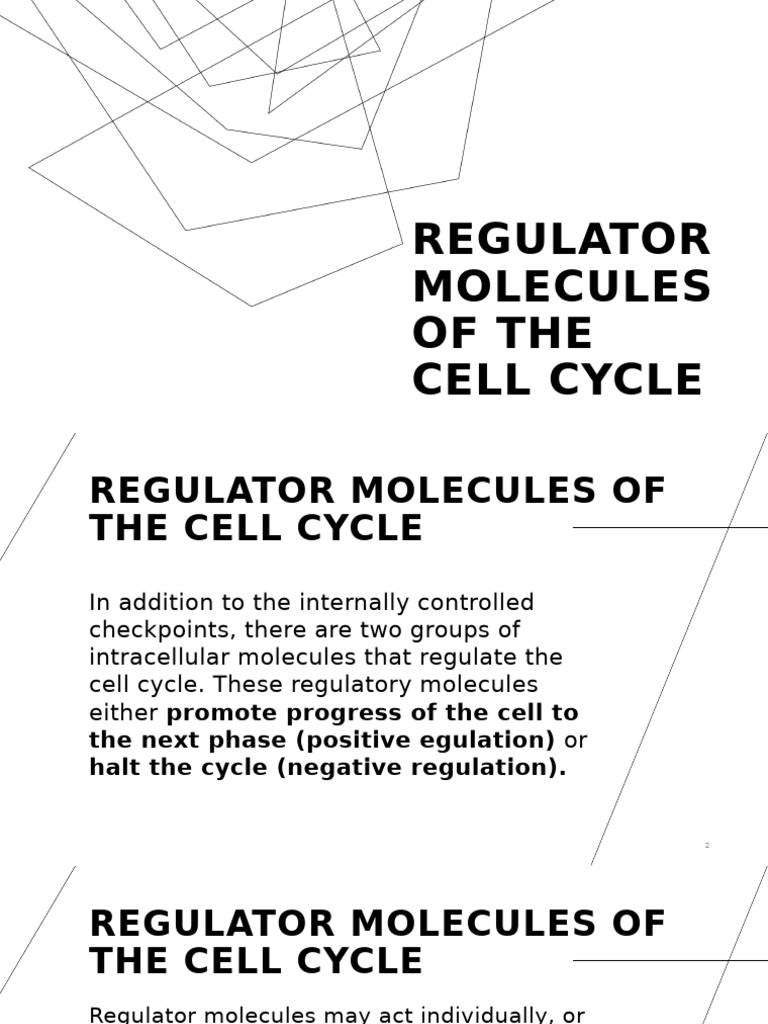 Regulator Molecules of The Cell Cycle | PDF | Cell Cycle | P53